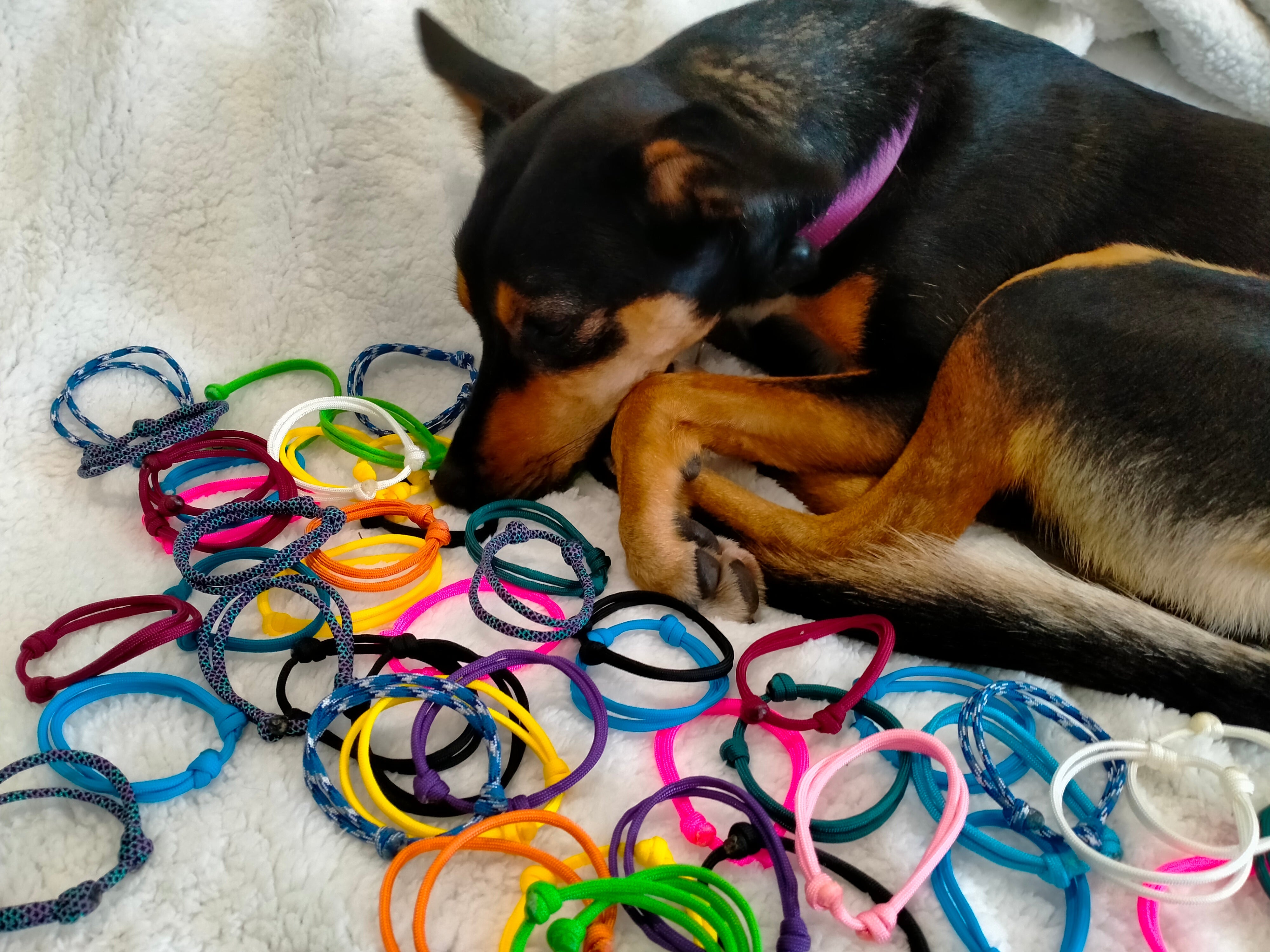 AUSSIE STOCK Whelping Collars / Puppy ID Collars – Kim & Milly's Cords ...